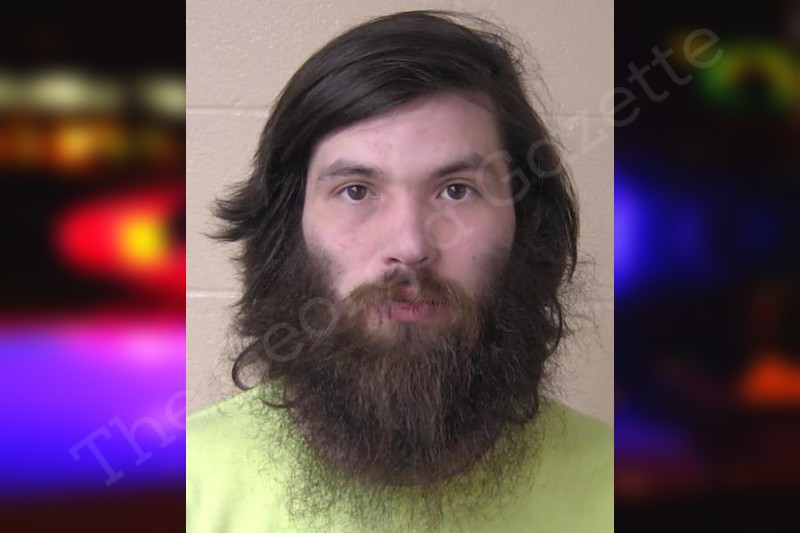 Joseph Chastain — Walker County Jail Bookings