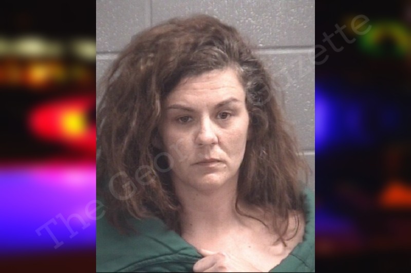 Haley Collier — Spalding County Jail Bookings