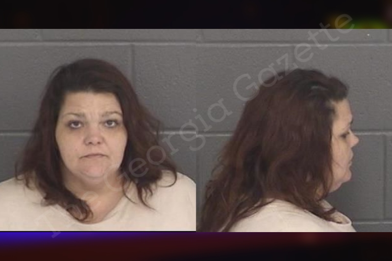 Tonya Collins — Barrow County Jail Bookings