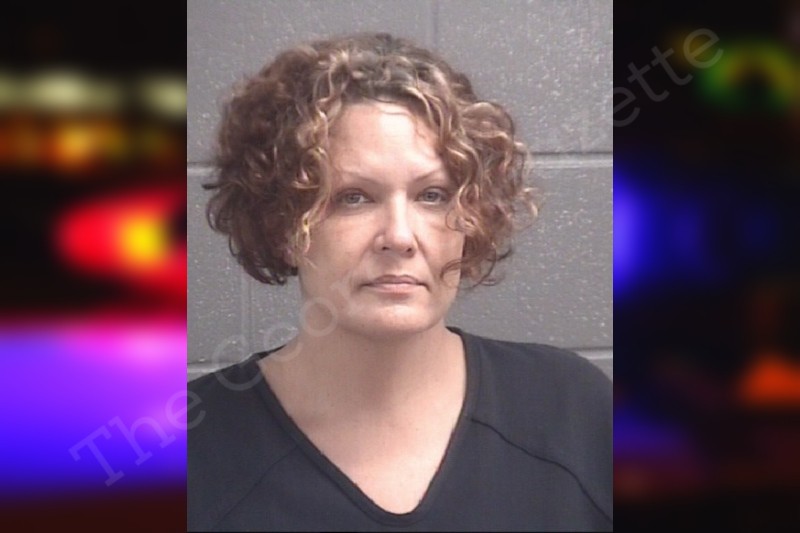 Shannon Comer — Spalding County Jail Bookings