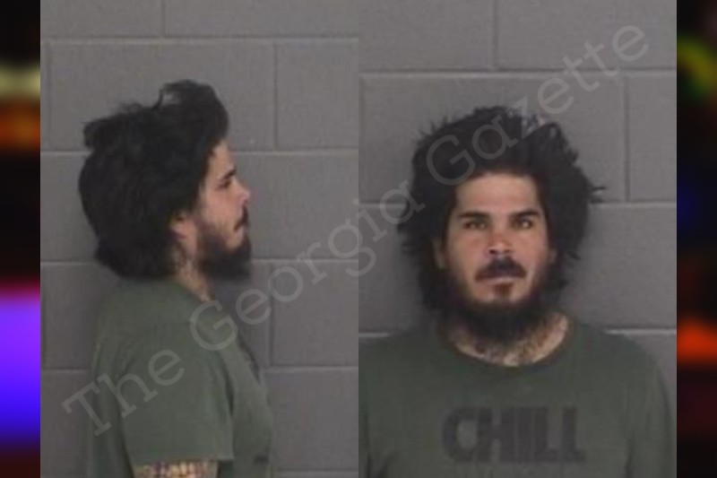 Christopher Cornejo — Barrow County Jail Bookings