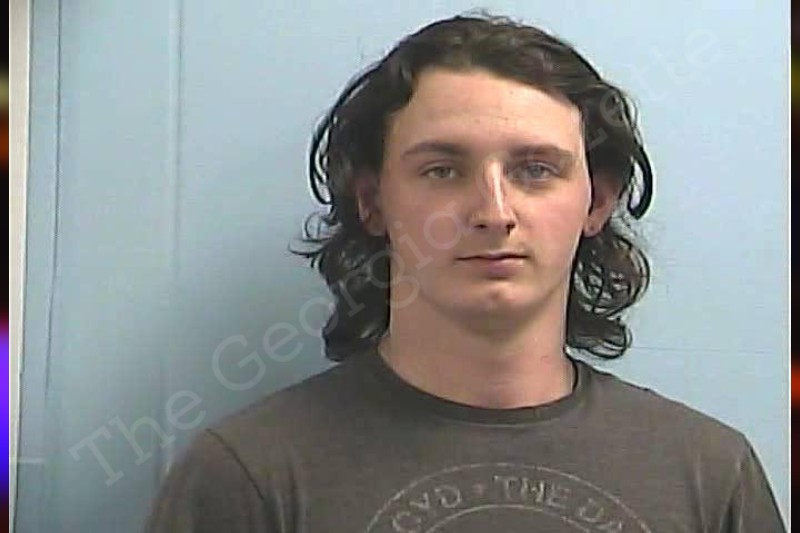 Trevor Cowart — Dawson County Jail Bookings