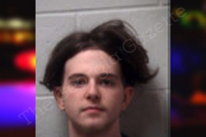Aubrey Crispino — Henry County Jail Bookings