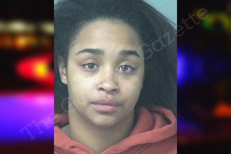 Erika Figueroa — Gwinnett County Jail Bookings