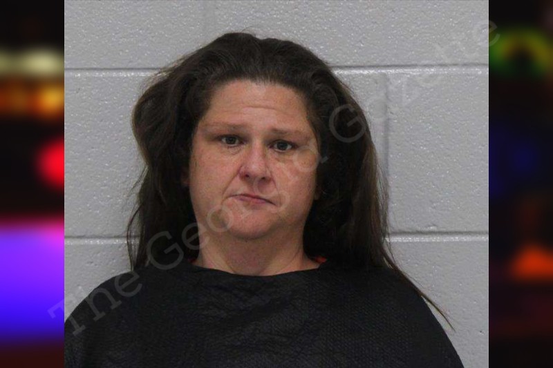 Sarah Fincher — Carroll County Jail Bookings
