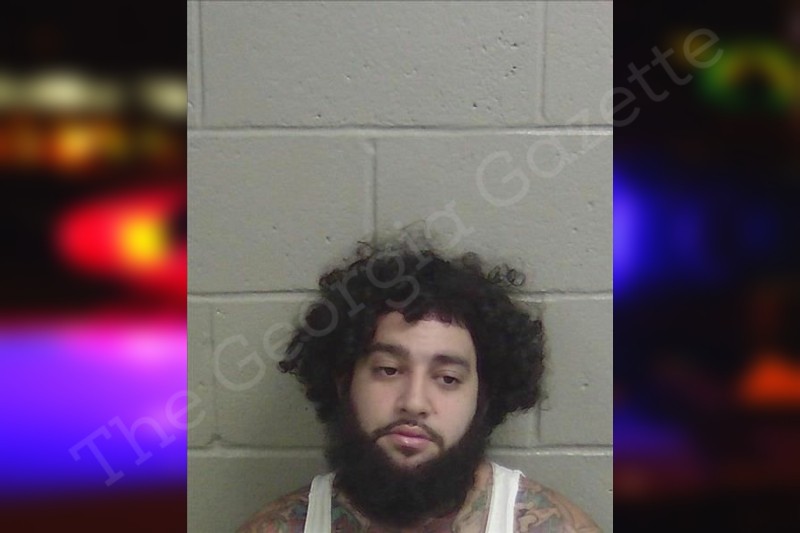 Bryan Fernandez — Wayne County Jail Bookings