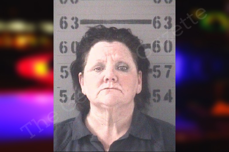 Lauren Filson — Dougherty County Jail Bookings