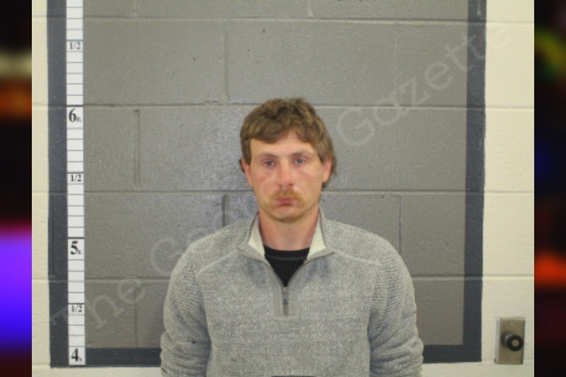 Riley Gailey — Banks County Jail Bookings