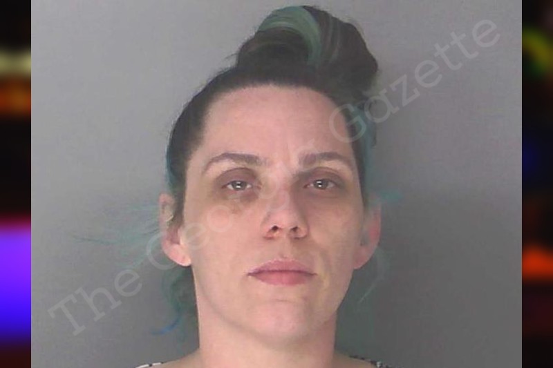 Jessica Gilley — Douglas County Jail Bookings