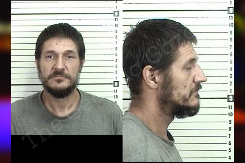 James Goodale - Camden County