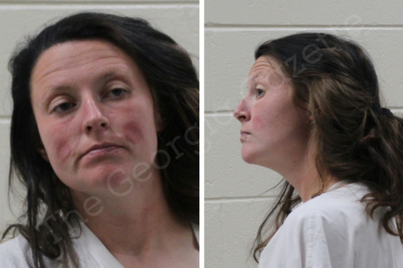 Brittany Guin — Houston County Jail Bookings