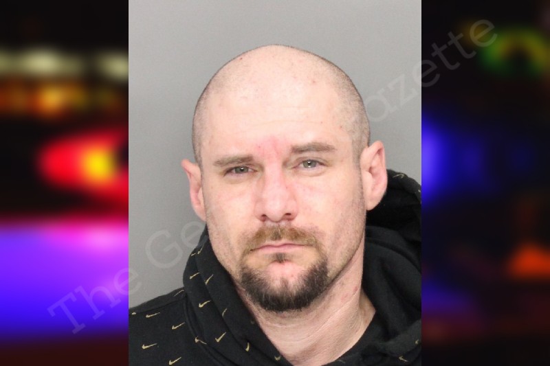 Levi Halford | Cobb County