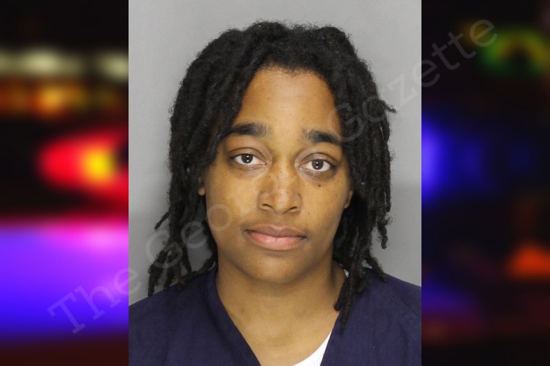 Precious Holloway — Cobb County Jail Bookings