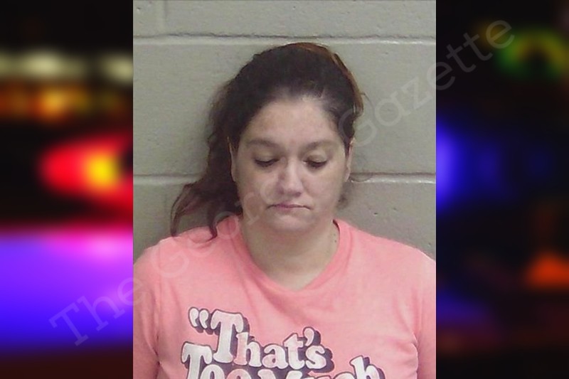 Jamie Harrison — Wayne County Jail Bookings