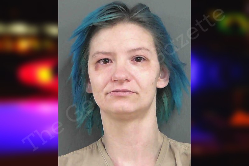 Larissa Hawkins — Gordon County Jail Bookings