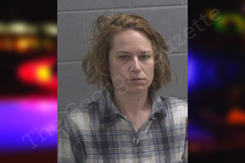 Hailey Howard — Spalding County Jail Bookings