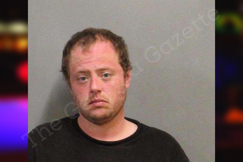 Aca Iacono — White County Jail Bookings