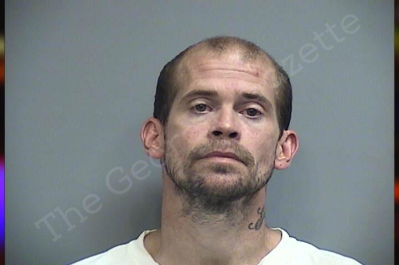 Mikell Jenkins — Effingham County Jail Bookings