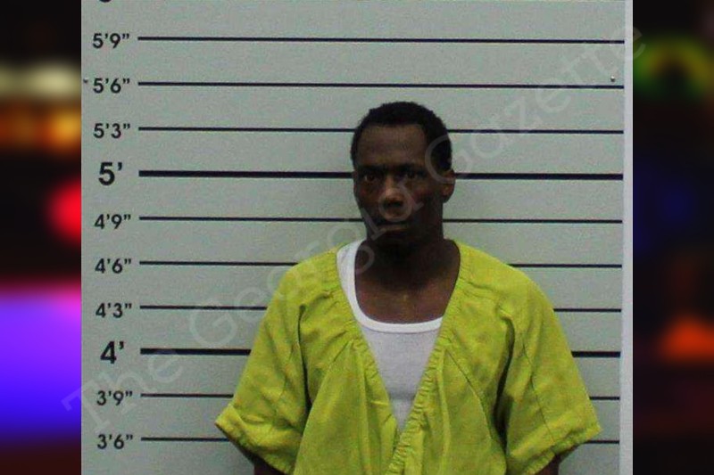 Bobby Johnson — Turner County Jail Bookings