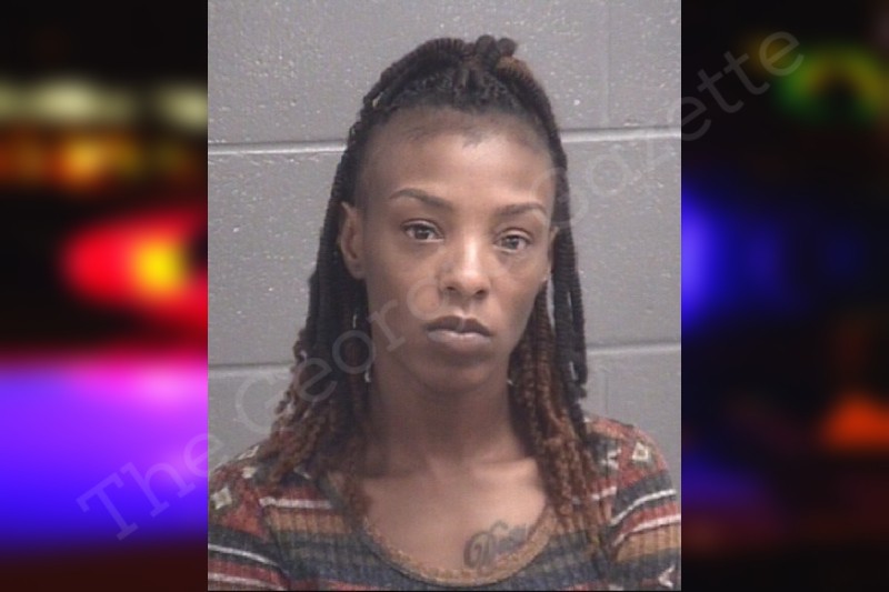 Destini Johnson — Spalding County Jail Bookings