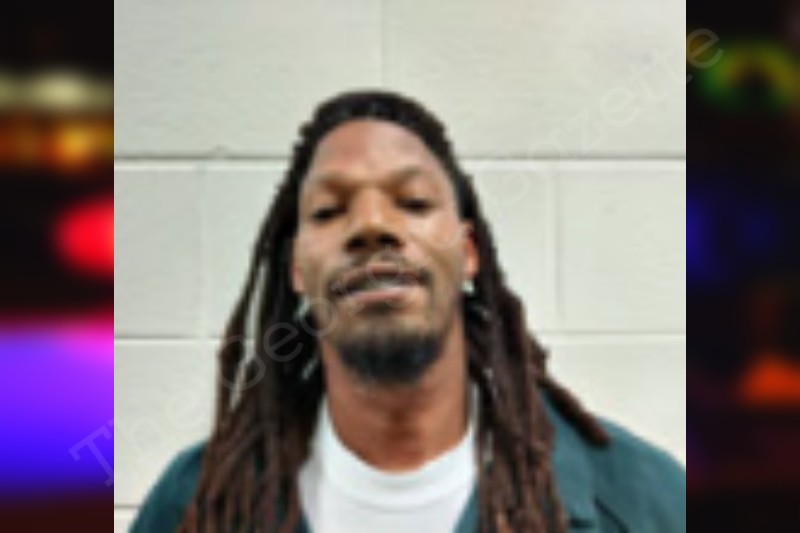 Ricky Johnson — Henry County Jail Bookings