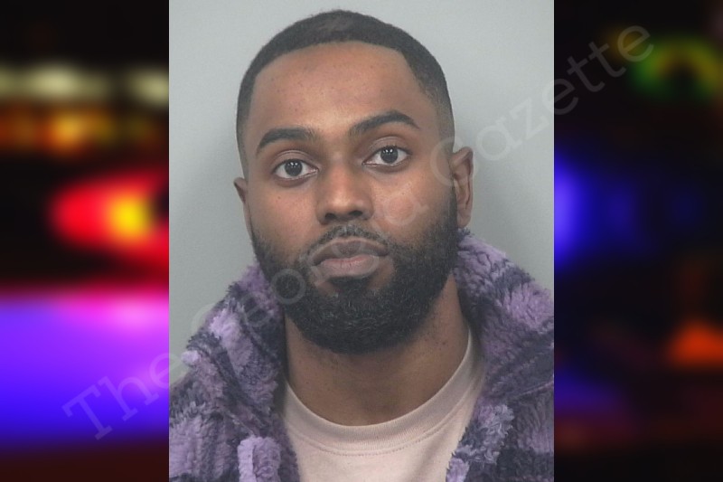 Mikhail Keize — Gwinnett County Jail Bookings