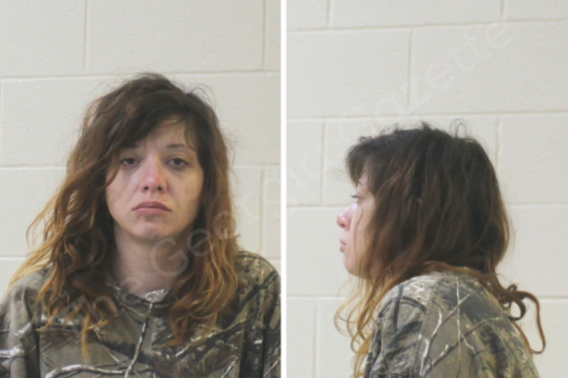 Heather Kaufman — Houston County Jail Bookings