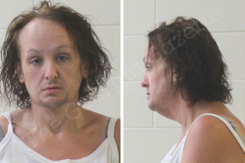 Cynthia King — Houston County Jail Bookings