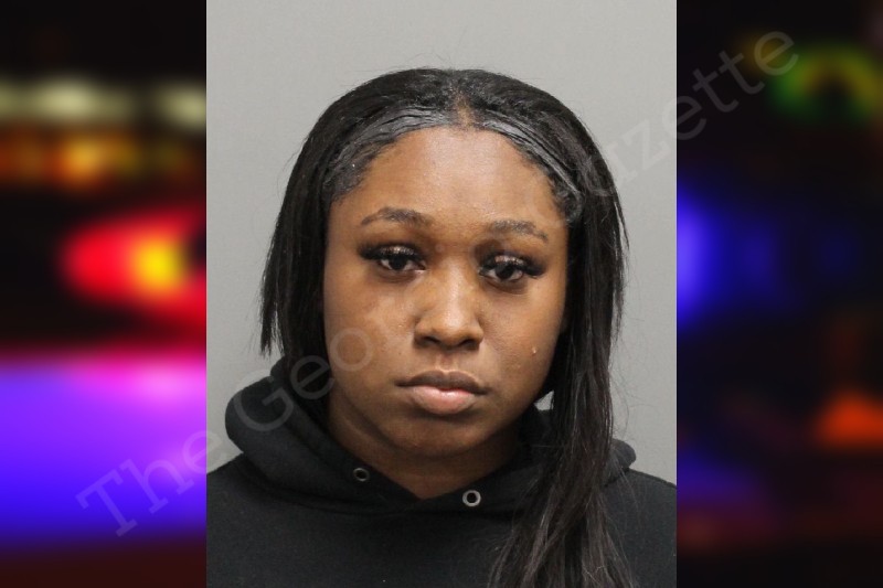 Elyse Lee — Cobb County Jail Bookings