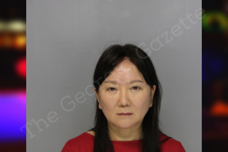 Chengjun Li — Hall County Jail Bookings