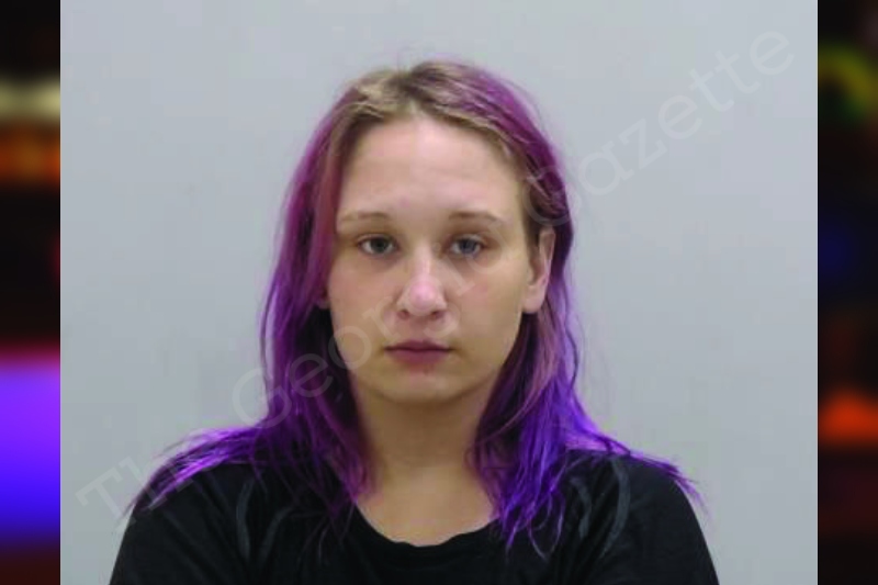 Cierra Ledebuhr — Bartow County Jail Bookings