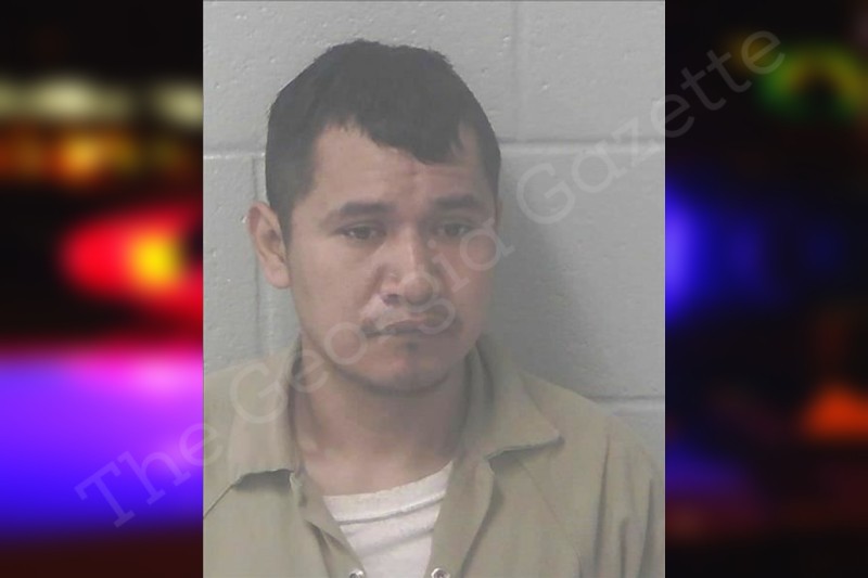 Jose Martin -Martin — Newton County Jail Bookings