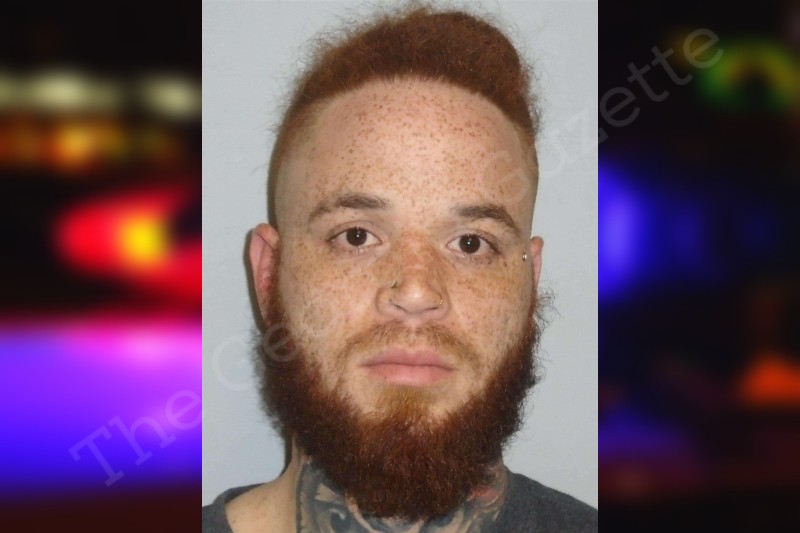 Willie Mathis — Burke County Jail Bookings