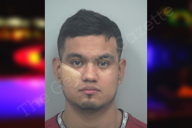 Youri Mazariegos Chilel — Gwinnett County Jail Bookings
