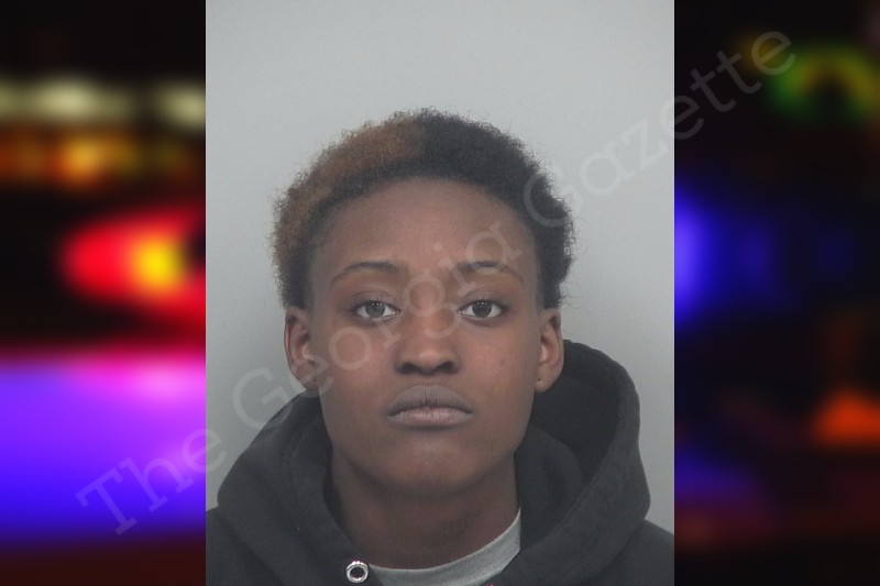 Mikhayahu McCall — Gwinnett County Jail Bookings