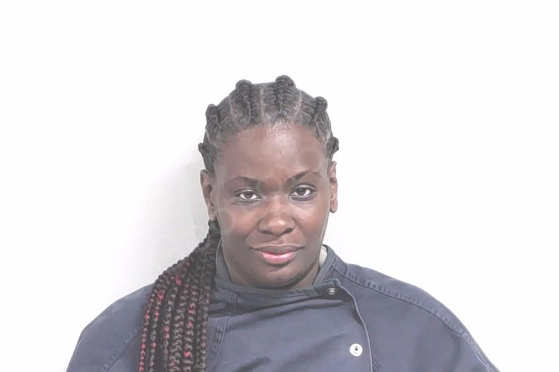 Shaquisha McDaniel — Lowndes County Jail Bookings