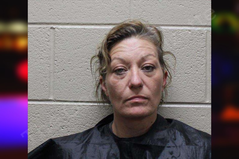 Jennifer McFall — Haralson County Jail Bookings
