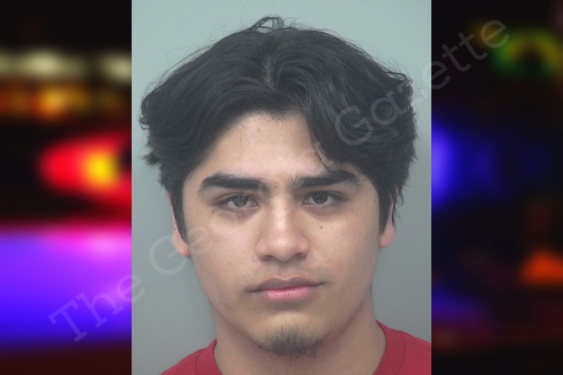 Alexis Medina — Gwinnett County Jail Bookings