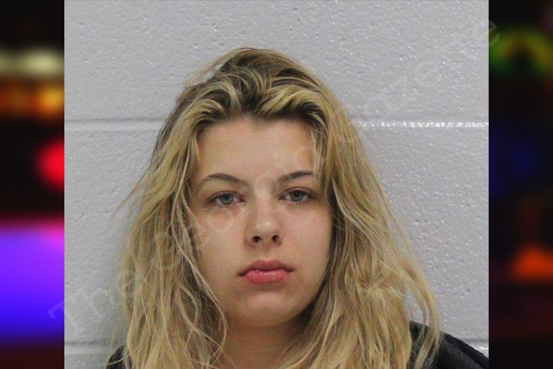 Haleigh Meers — Carroll County Jail Bookings