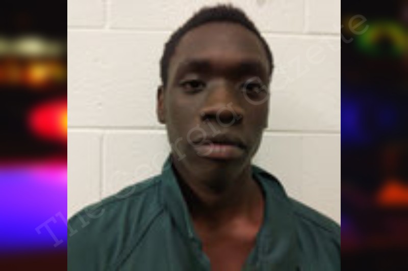 Zadarious Middlebrooks — Henry County Jail Bookings