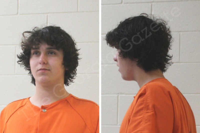 Colby Moore — Houston County Jail Bookings