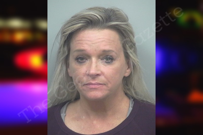 Alyssa Moss — Gwinnett County Jail Bookings