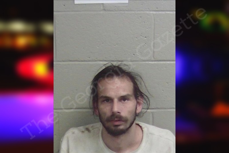 Matthew Messinger — Wayne County Jail Bookings