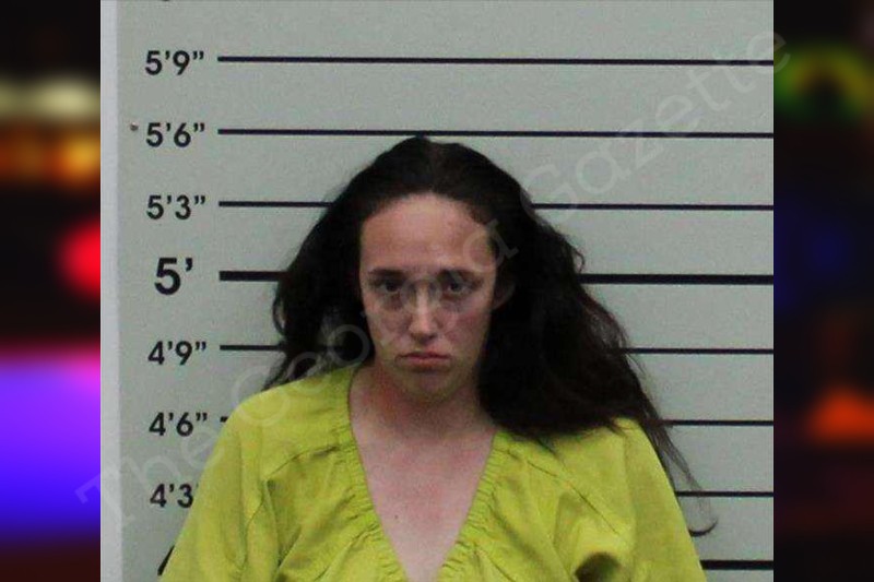 Tabitha Metz — Turner County Jail Bookings