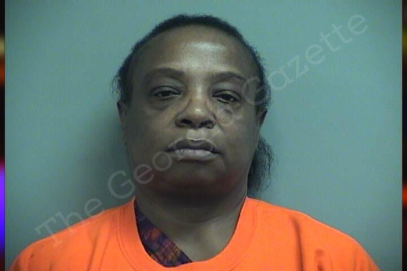 Jacqueline Mikell — Effingham County Jail Bookings