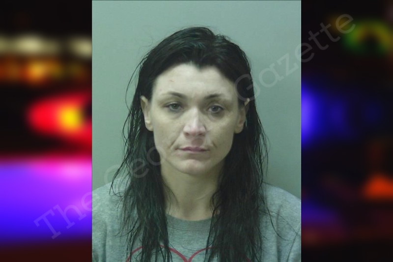 Jessica Moneymaker — Towns County Jail Bookings