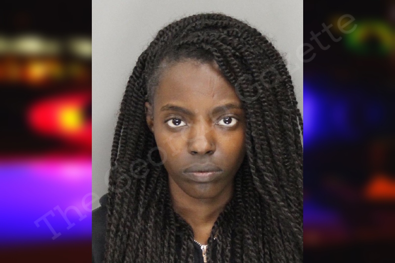 Evalyn Ngige — Cobb County Jail Bookings