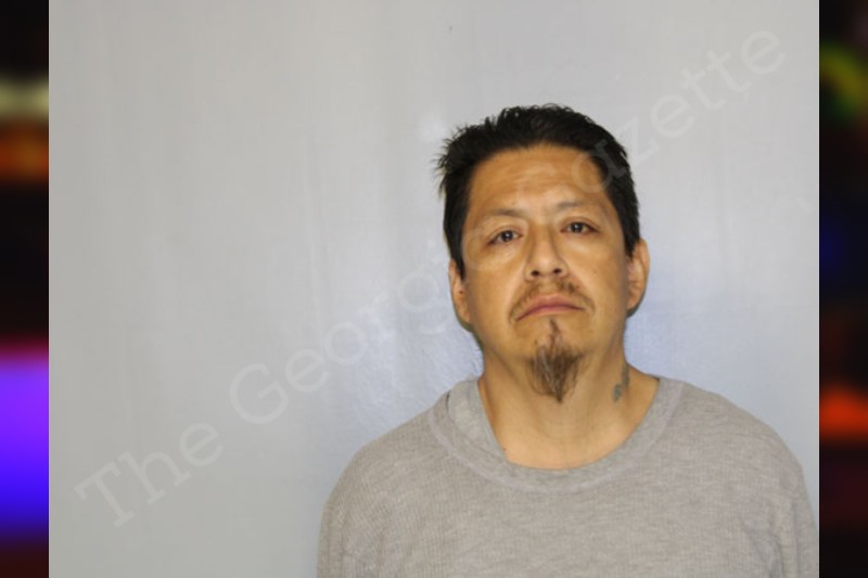 Alejandro Olea-Salvador — Hall County Jail Bookings