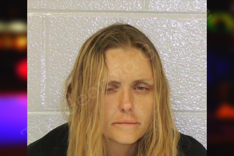Crystal Pierce — Carroll County Jail Bookings