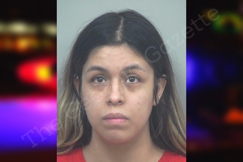 Ana Pinon — Gwinnett County Jail Bookings